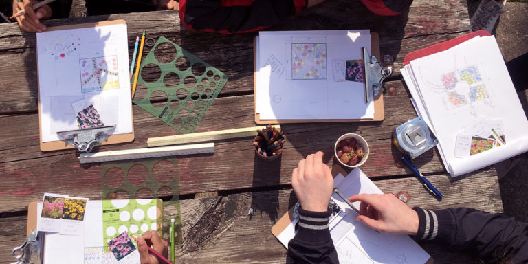 Our Projects | DC Natives