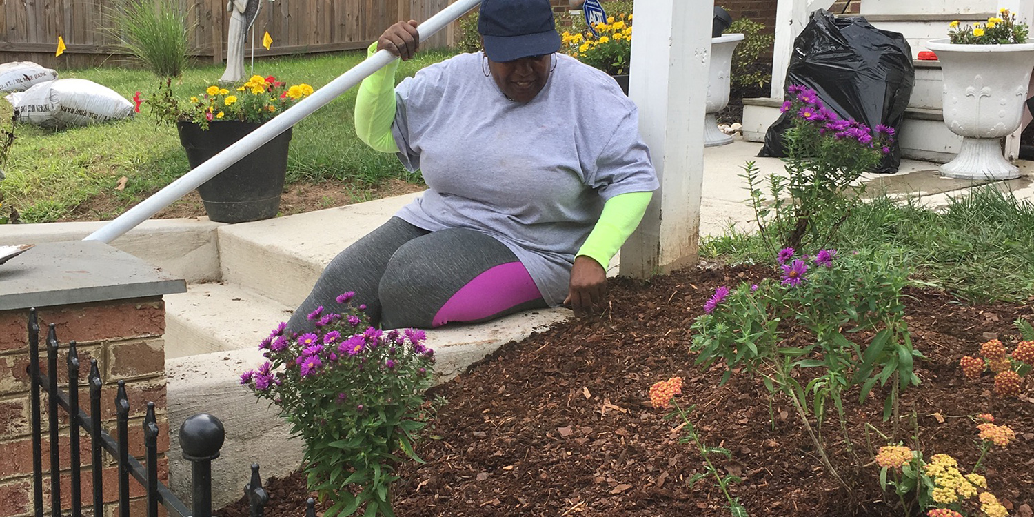 Community Gardens | DC Natives