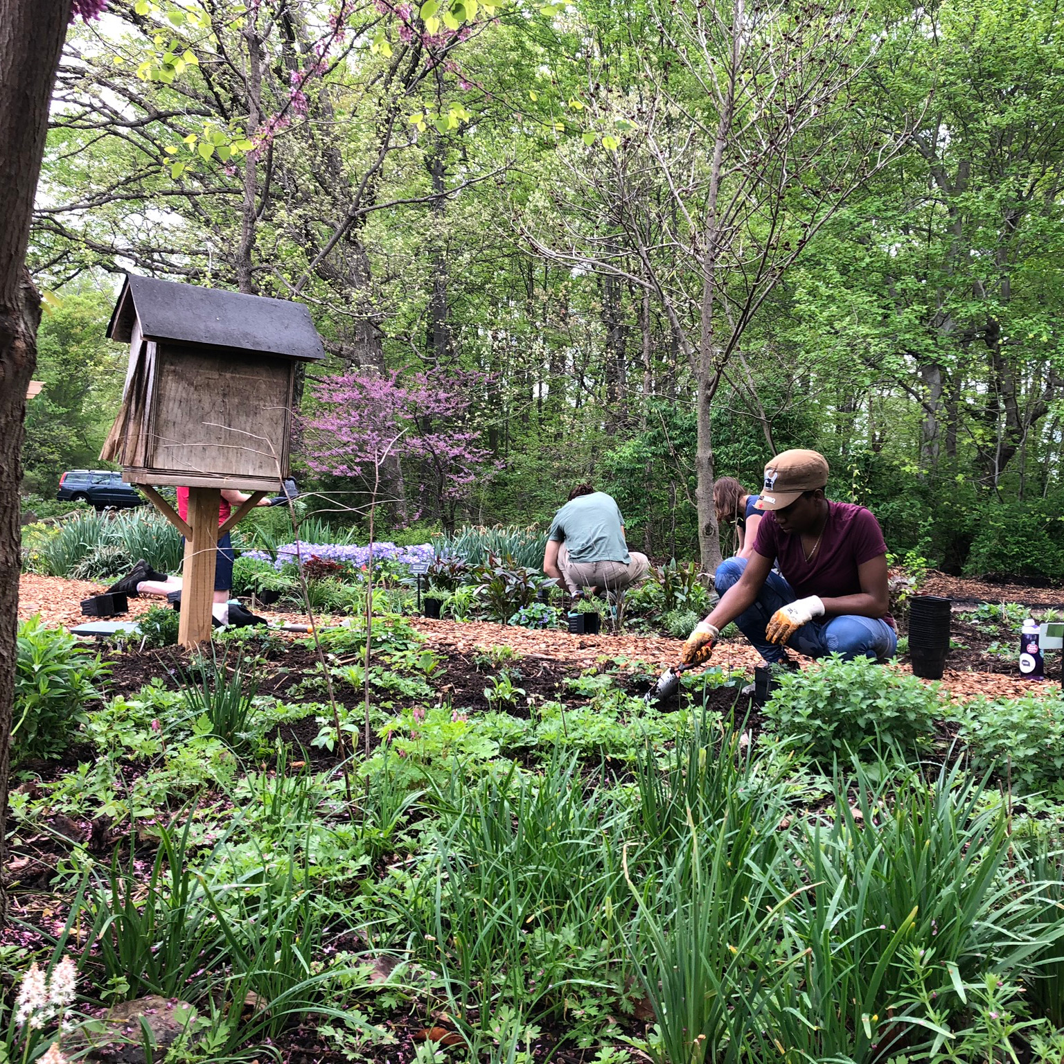 Our Projects | DC Natives