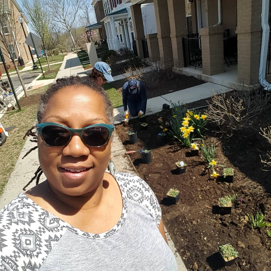 How to plant a pollinator garden | DC Natives