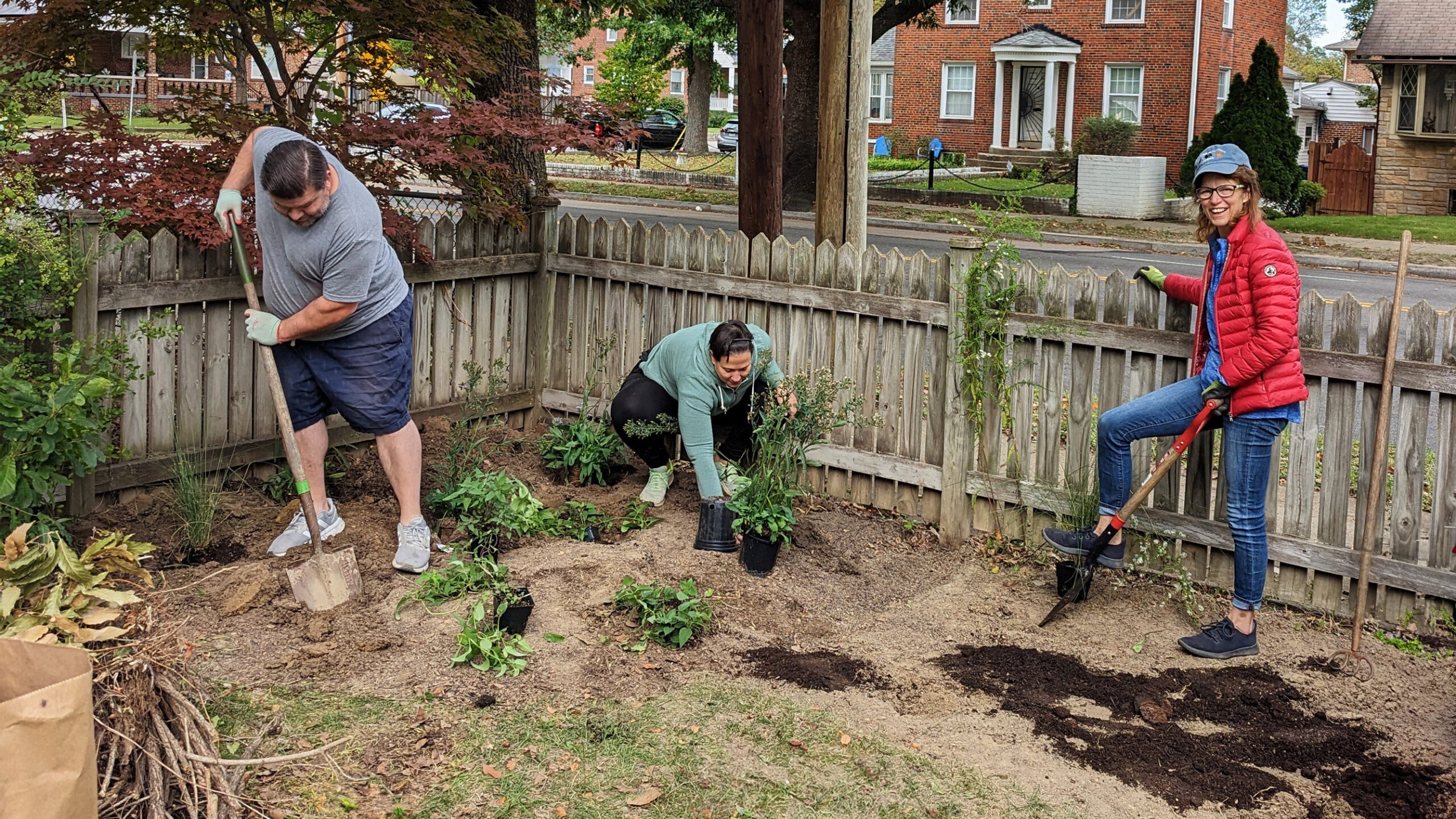 How DC Natives Works | DC Natives