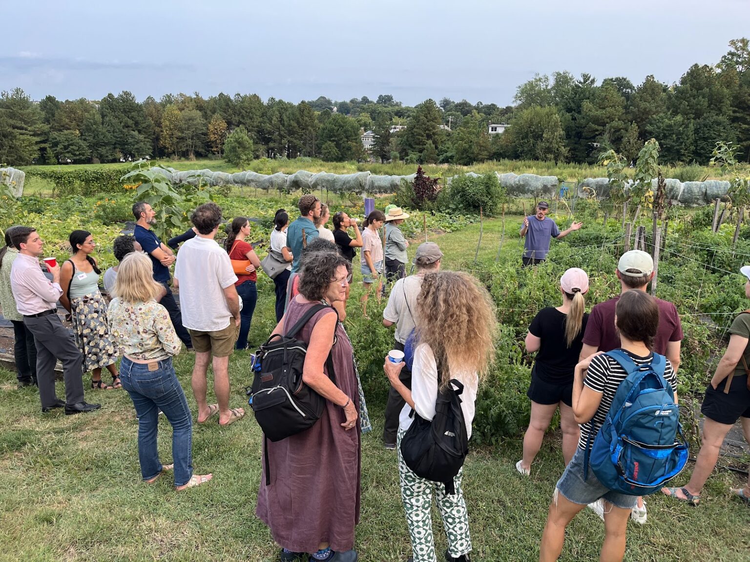 First Flower Fridays: The DC Natives Demonstration Garden Series | DC ...